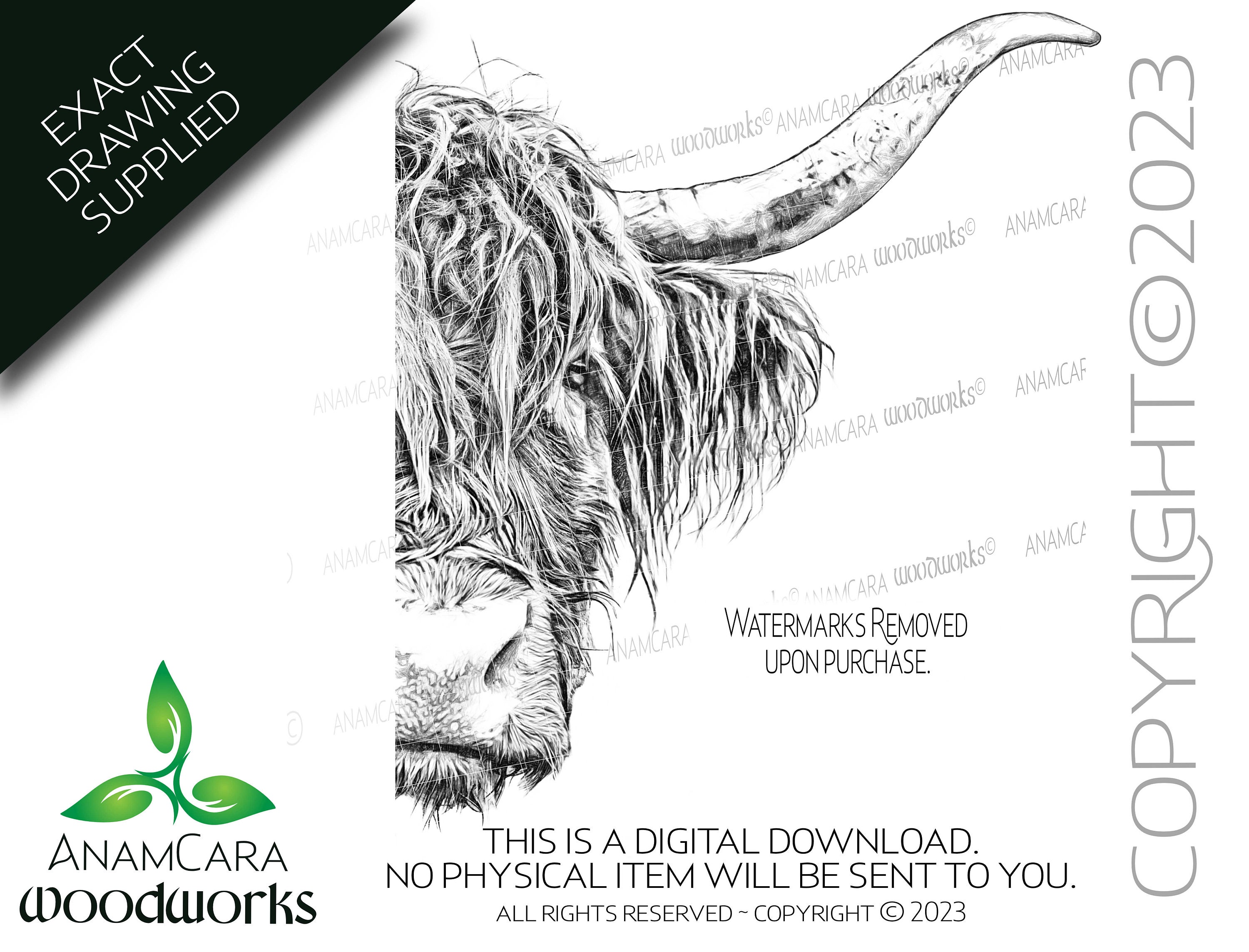 Half Face Highland Cow Peeking Hand Drawn Illustration | Grayscale ...