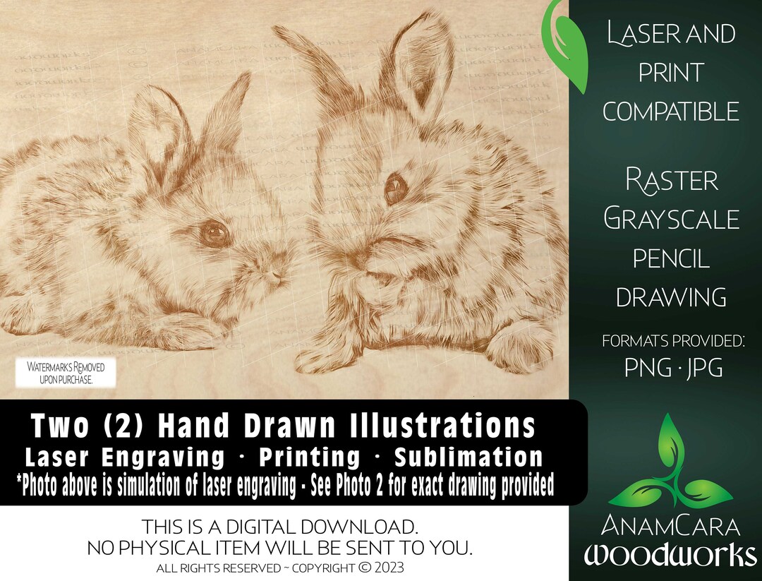 Two Baby Bunny Rabbits Hand Drawn Illustrations Grayscale Raster PNG ...