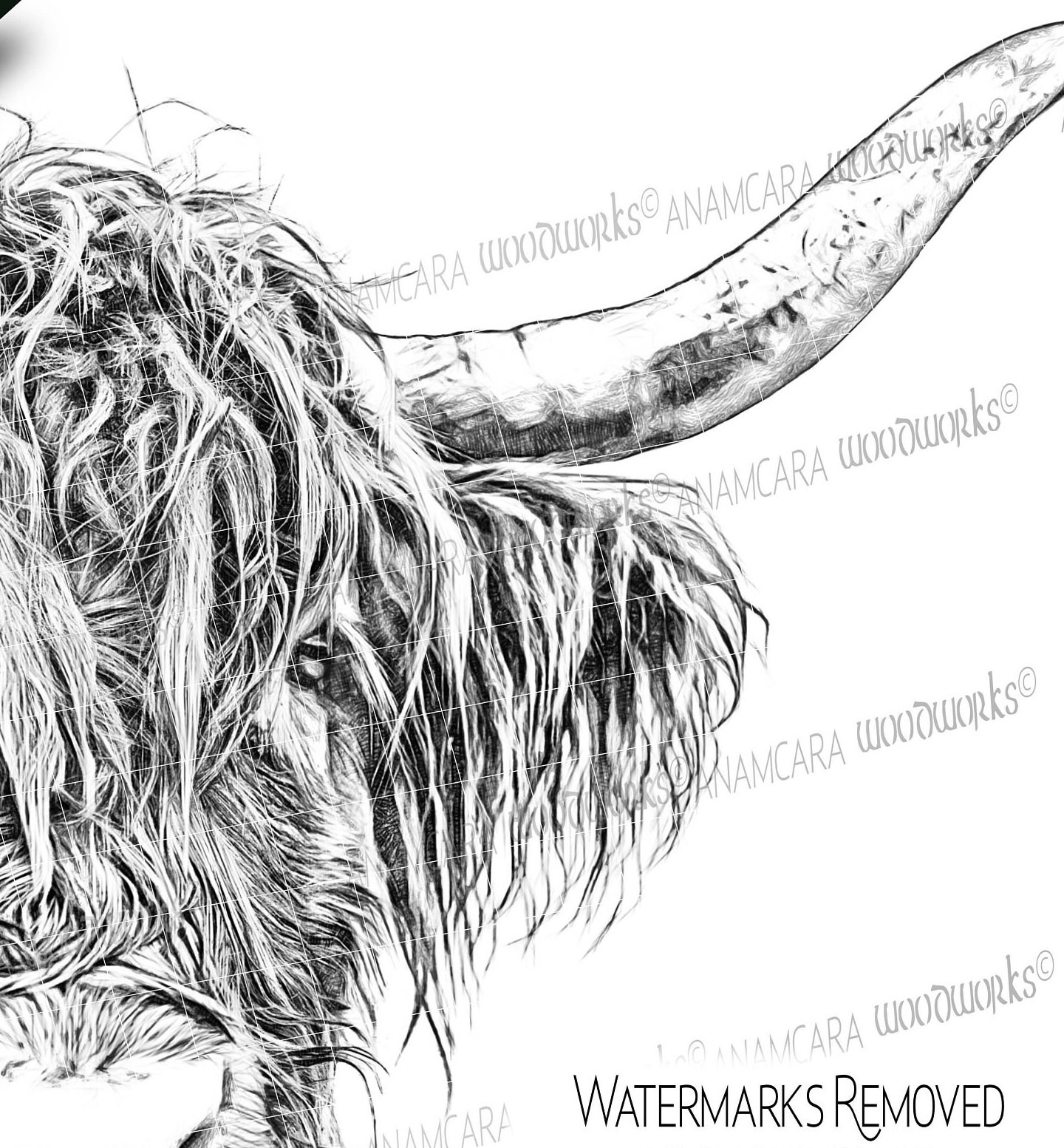 Half Face Highland Cow Peeking Hand Drawn Illustration | Grayscale ...
