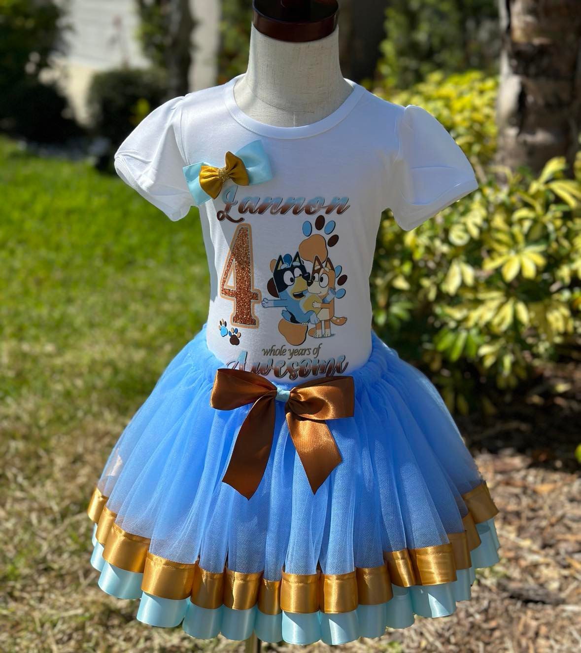 Bluey Girl Tutu Set, Party Ideas, Custom Birthday Outfit, Tutu Set ...