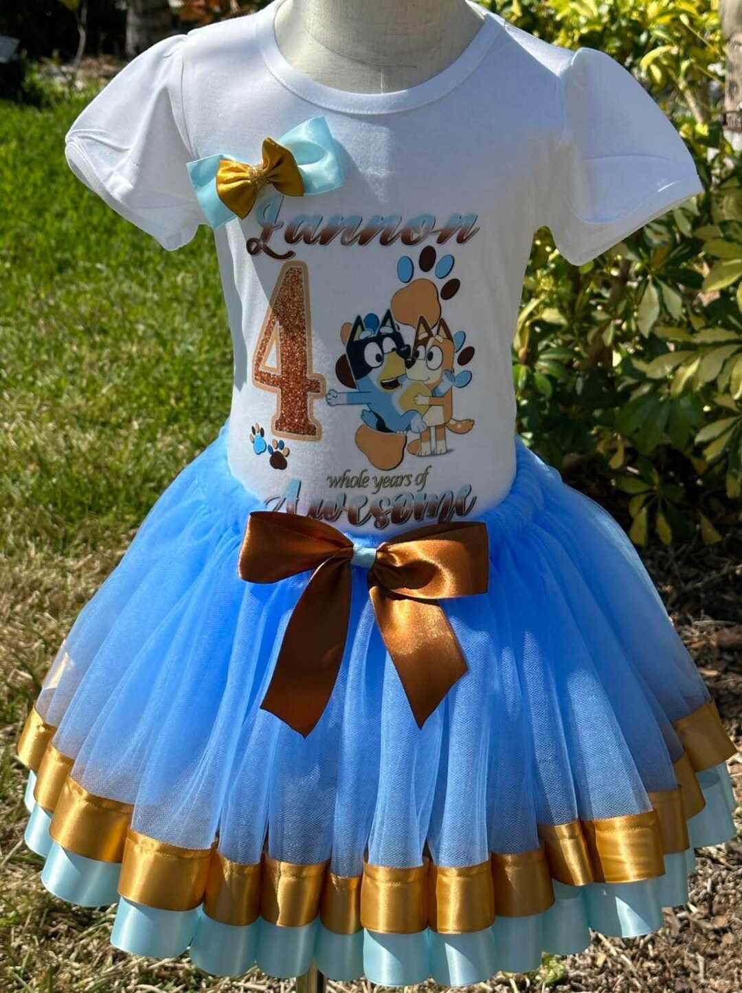 Bluey Girl Tutu Set, Party Ideas, Custom Birthday Outfit, Tutu Set ...