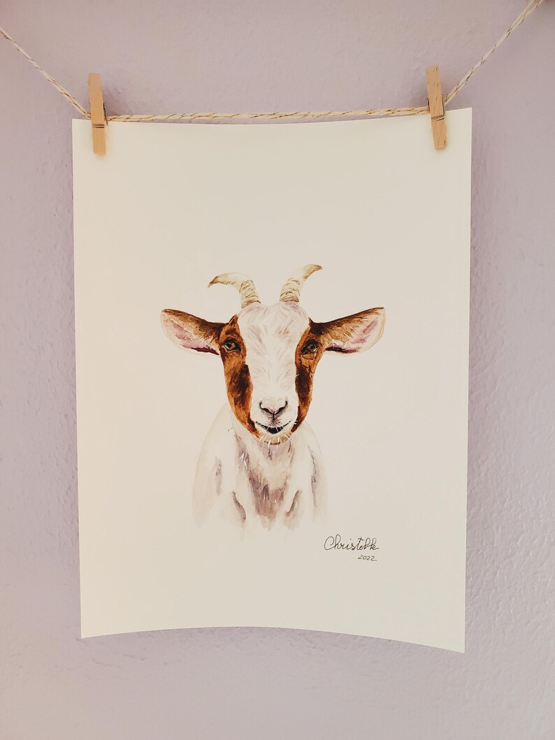 Goat Watercolor Painting: Original Animal Art (9x12", With Mat 11x14 ...