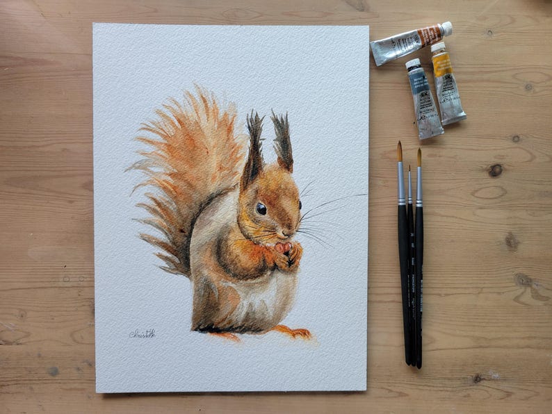 Squirrel Watercolor Painting: Original Animal Art, 9x12" With Mat - Etsy