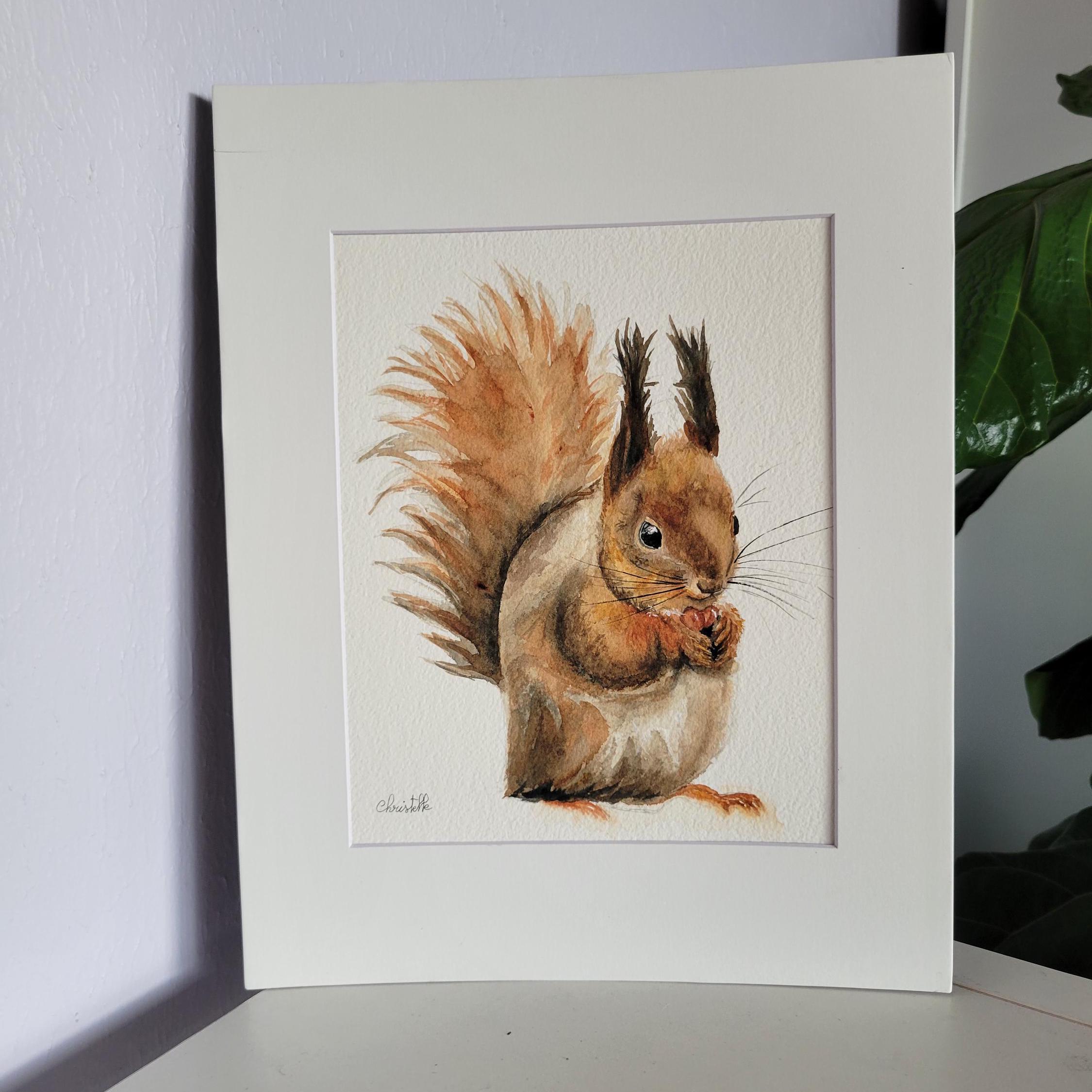 Squirrel Watercolor Painting: Original Animal Art, 9x12" With Mat - Etsy