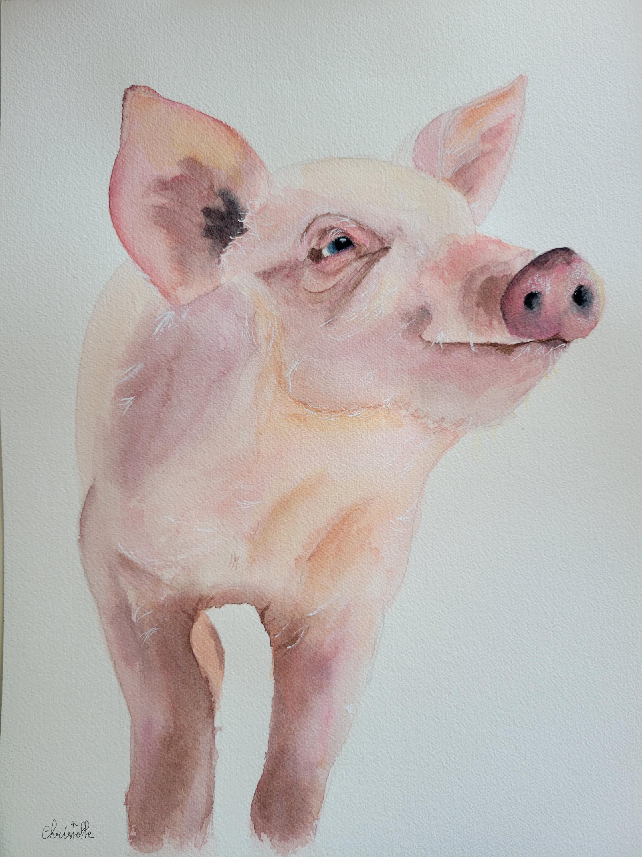 Pig Watercolor Painting: Original Animal Art, 12x16" With Mat - Etsy