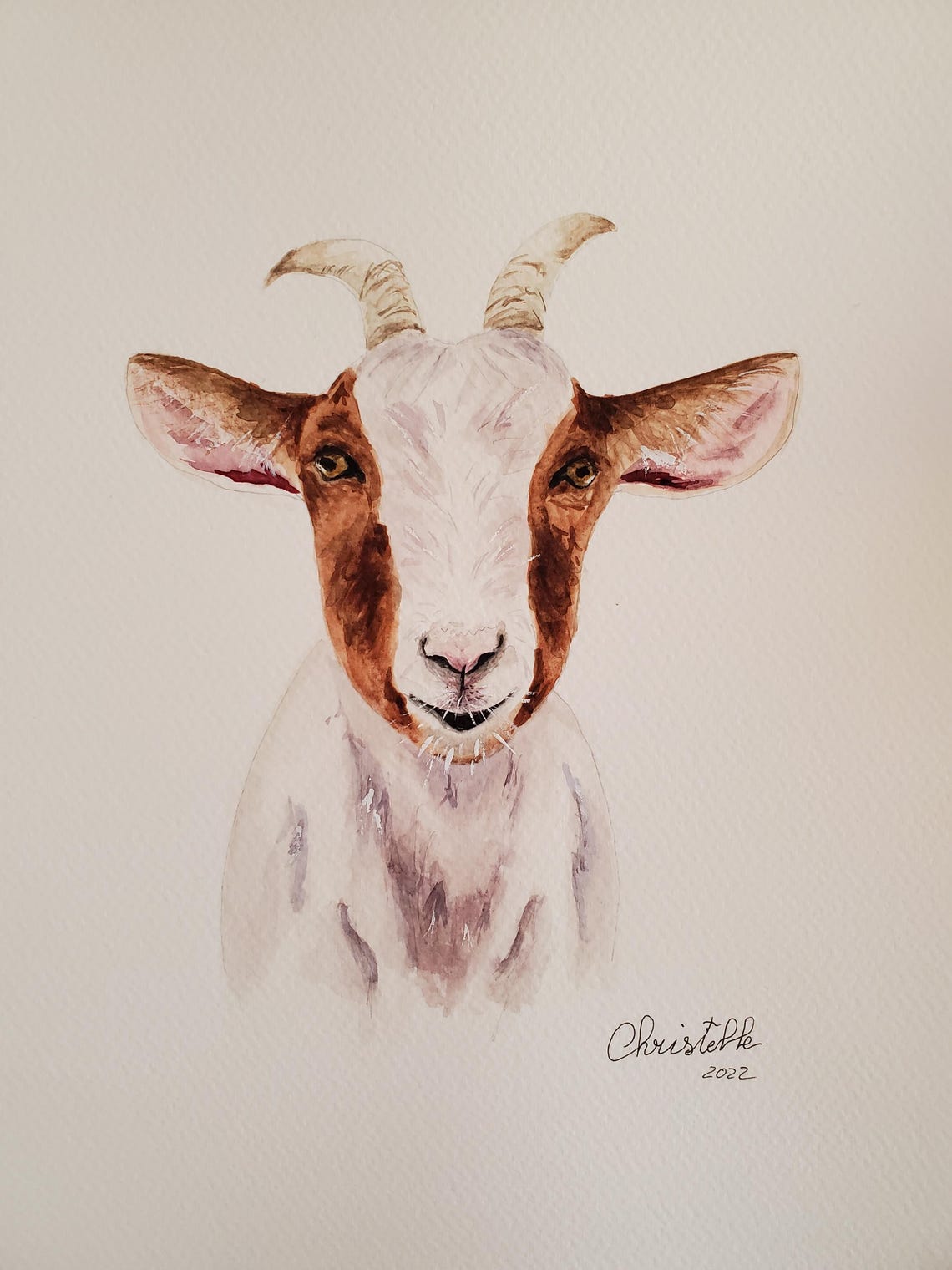 Goat Watercolor Painting: Original Animal Art (9x12", With Mat 11x14 ...