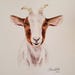 Goat Watercolor Painting: Original Animal Art (9x12", With Mat 11x14 ...