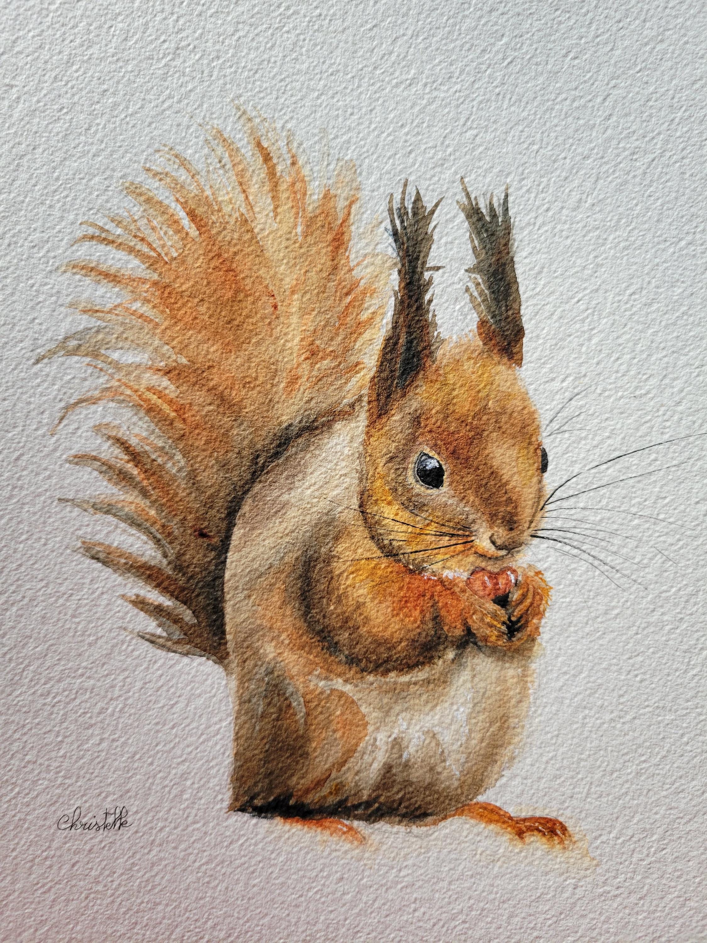 Squirrel Watercolor Painting: Original Animal Art, 9x12" With Mat - Etsy