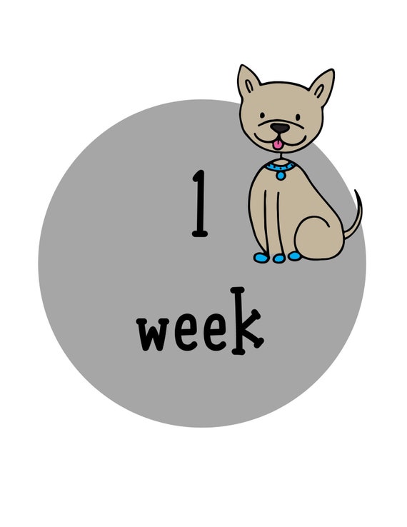 Baby Milestone Printables Weeks Months Dog Baby Puppy | Etsy
