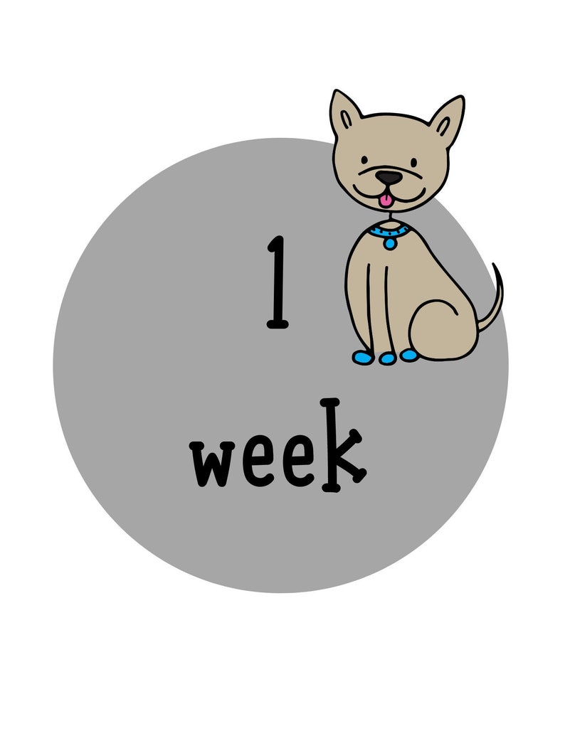 Baby Milestone Printables - Weeks Months - Dog Baby - Puppy Baby - Baby ...