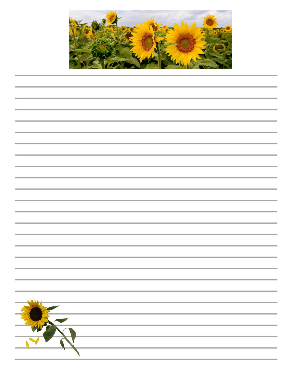 Summer Letter Template Digital Download - Cute Stationery - Beach ...