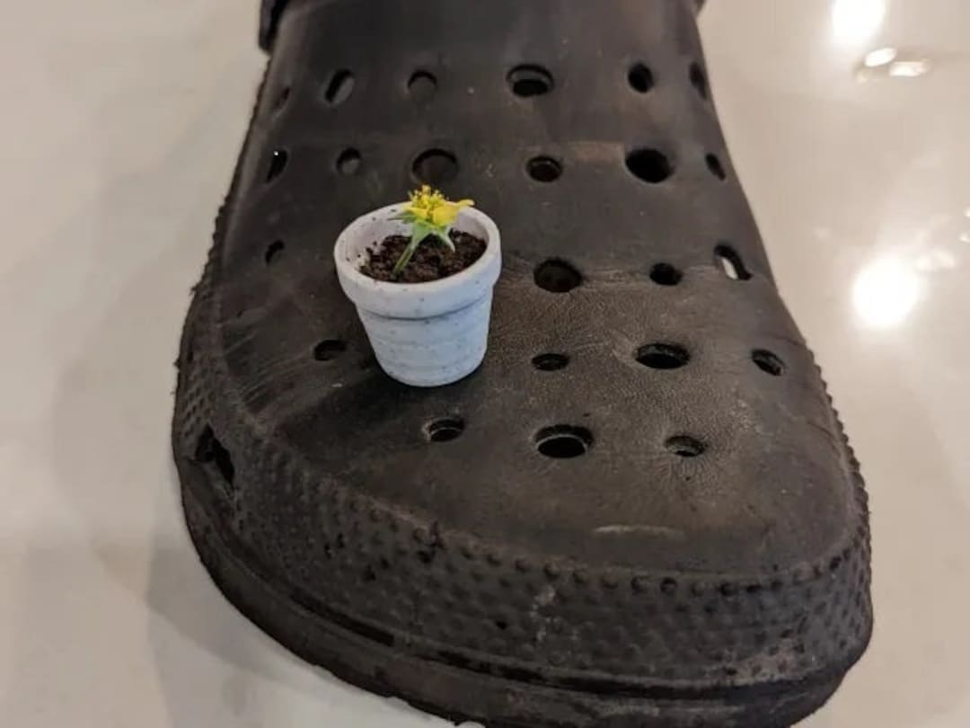 CROC POT - Etsy