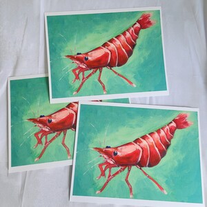 Cherry Shrimp! Original Cardstock Art Print - Etsy