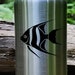 Angel Fish Decal, Aquatic Marine Life, Ocean Fish Decal - Etsy