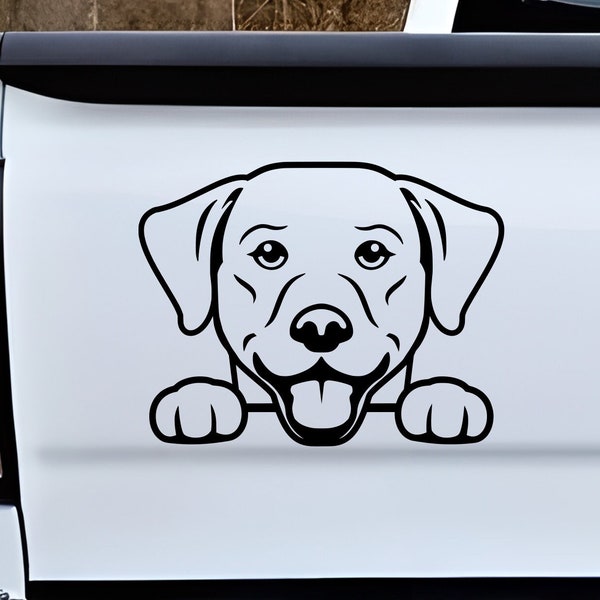 Dog Peek a Boo - Etsy