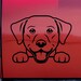 Labrador Peeking Dog Vinyl Decal, Peek a Boo Labrador Sticker - Etsy