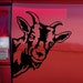 Boer Goat Window Decal Sticker J386 - Etsy