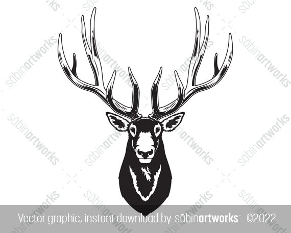 Mounted Elk Head Drawing