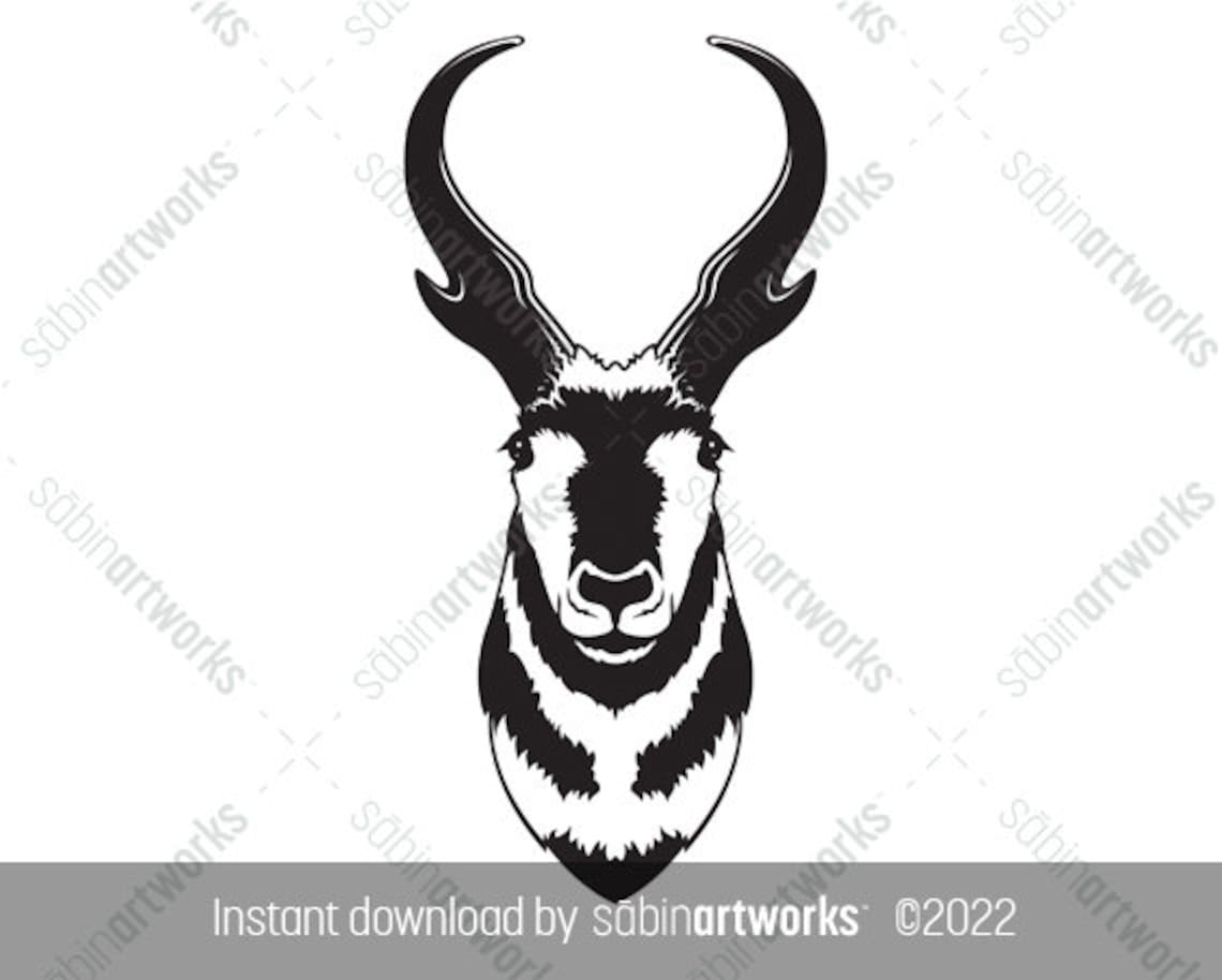 Pronghorn Head Illustration, SVG JPG EPS Antelope Head, Instant ...
