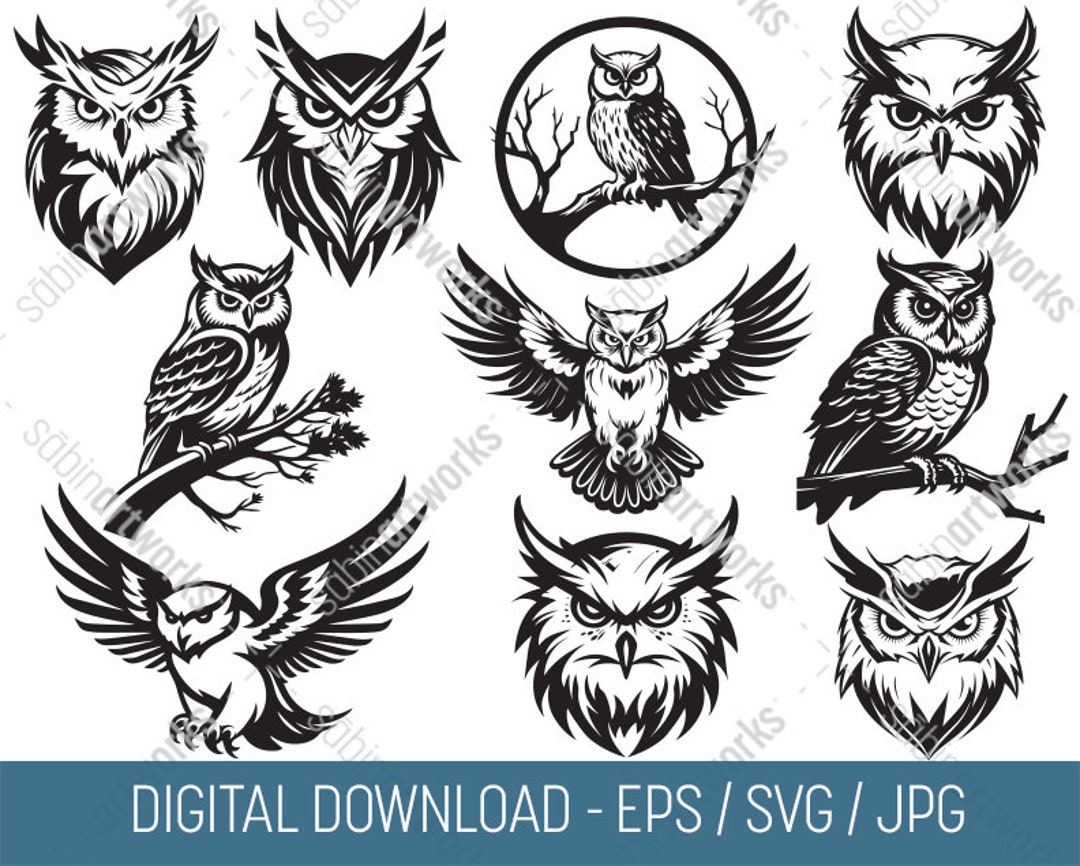 Owl Picture Clipart Black And White