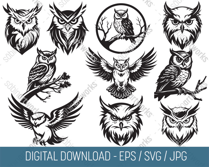 Clipart Black And White Owl