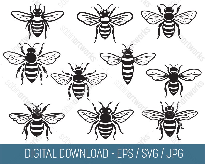 Bee Svg Bundle Honey Bee Clipart Black and White Bumble Bee - Etsy