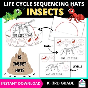 Insect Life Cycle Sequencing Hats Craft - Etsy