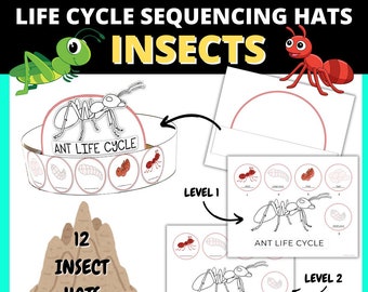 Insect Life Cycle Sequencing Hats for Kids, Hands-on Life Cycle ...