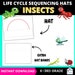 Insect Life Cycle Sequencing Hats Craft - Etsy