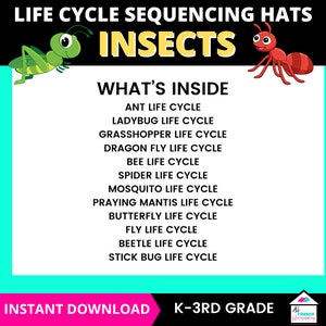 Insect Life Cycle Sequencing Hats Craft - Etsy