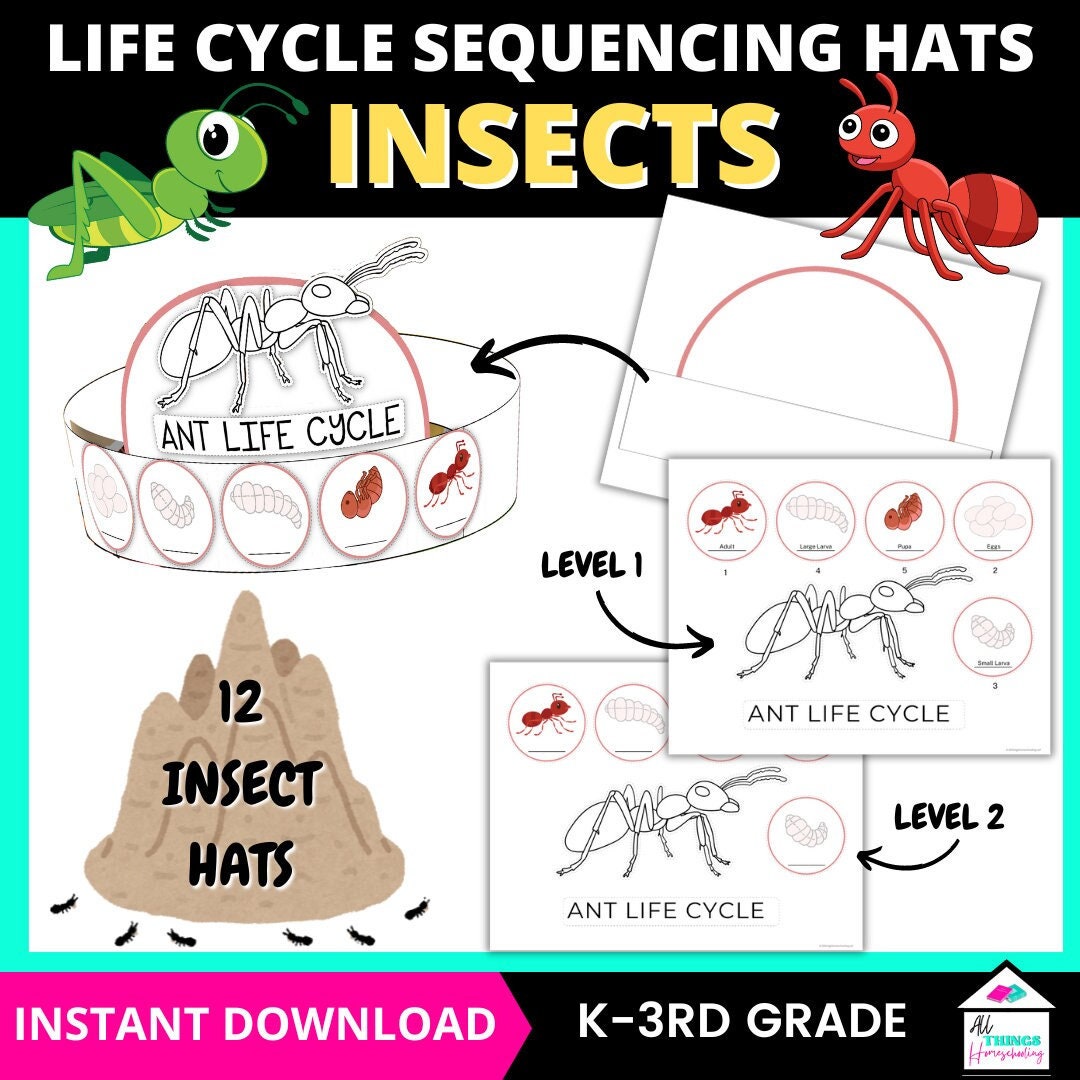 Insect Life Cycle Sequencing Hats Craft - Etsy