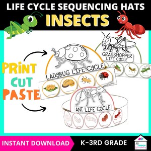 Insect Life Cycle Sequencing Hats Craft - Etsy