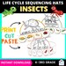 Insect Life Cycle Sequencing Hats Craft - Etsy
