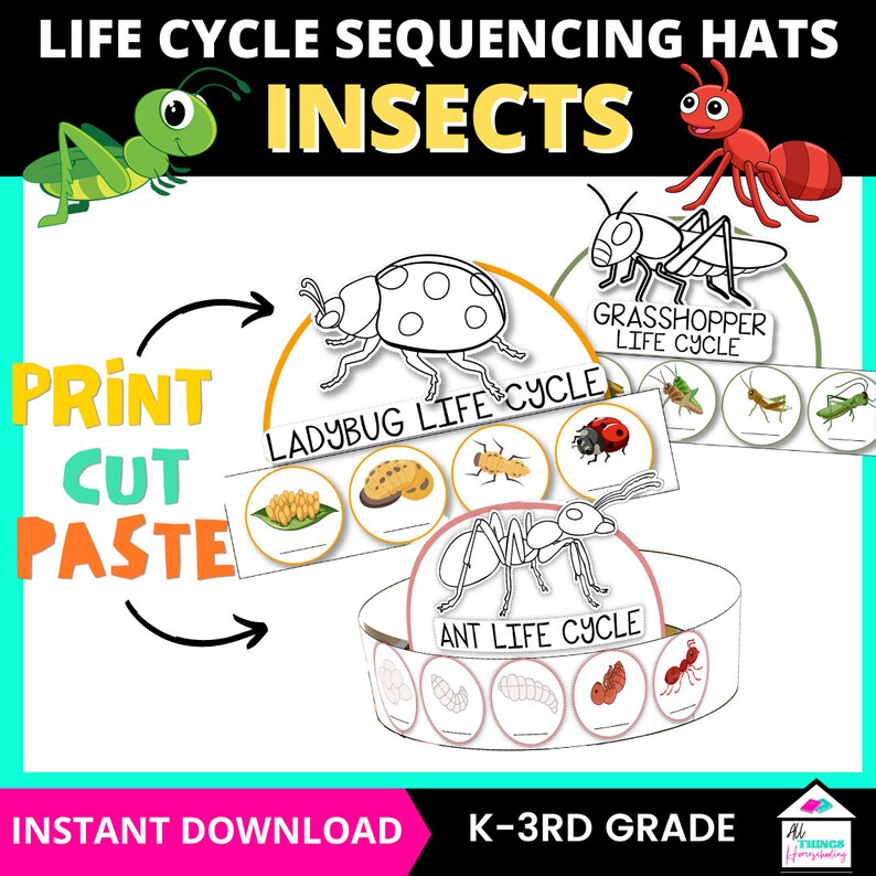 Insect Life Cycle Sequencing Hats Craft - Etsy