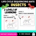 Insect Life Cycle Sequencing Hats Craft - Etsy