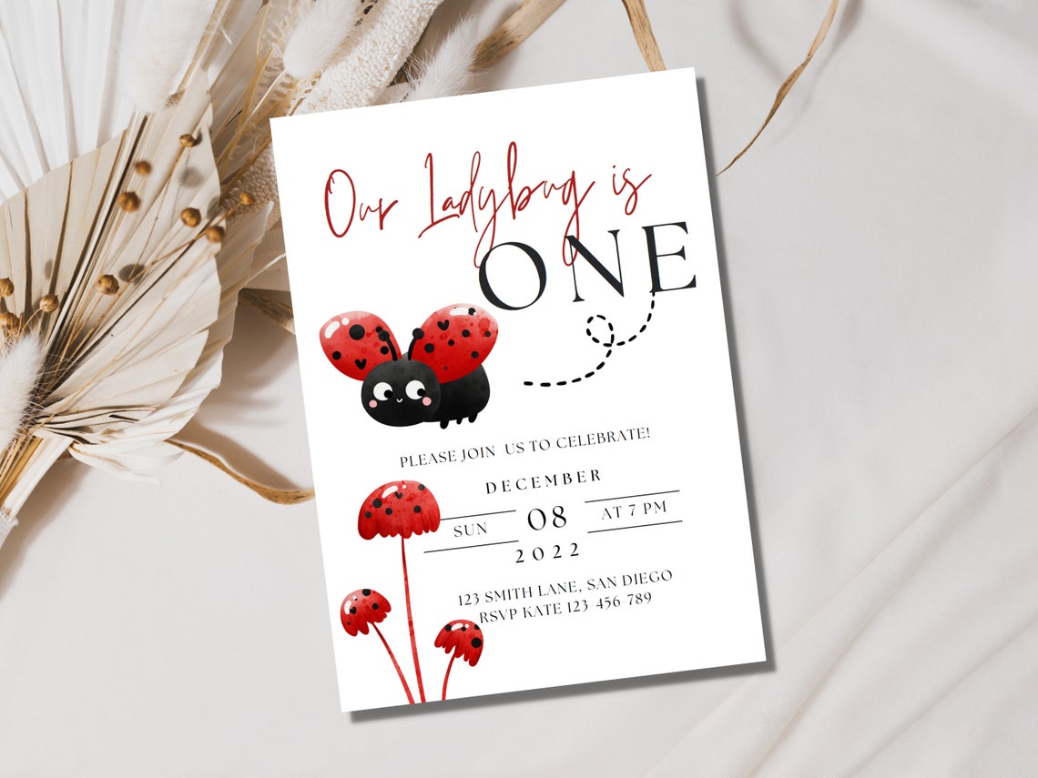 Ladybug First Birthday Invitation, Ladybug Birthday Invitation, Ladybug ...