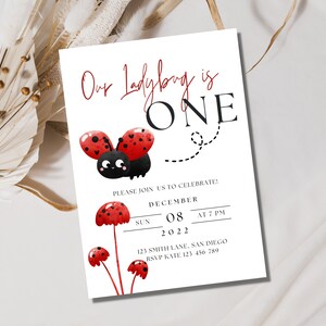 Ladybug First Birthday Invitation, Ladybug Birthday Invitation, Ladybug ...