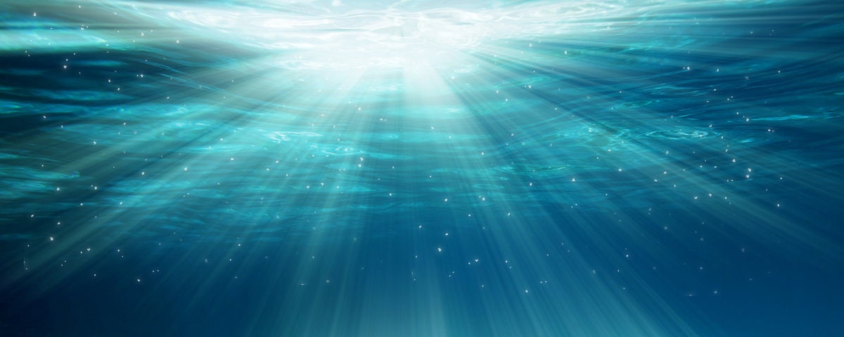 Twitch Profile Banner Underwater, Under the Sea Twitch Banner, Ocean ...