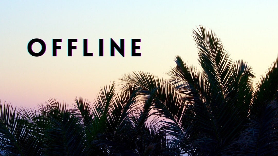 Offline Twitch Banner With Palm Tree Sunset, Twitch Profile Banner for ...