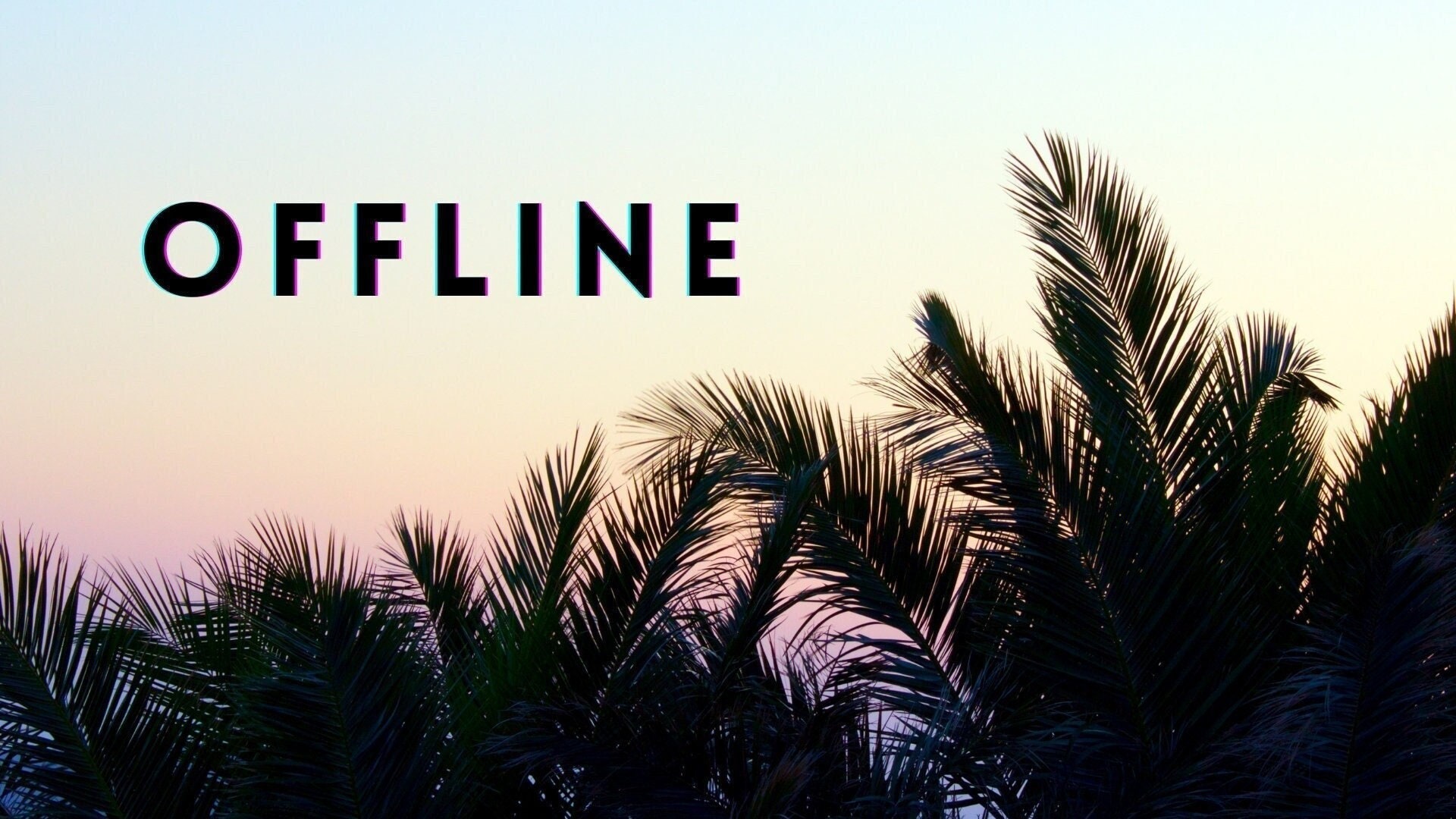 Offline Twitch Banner With Palm Tree Sunset, Twitch Profile Banner for ...