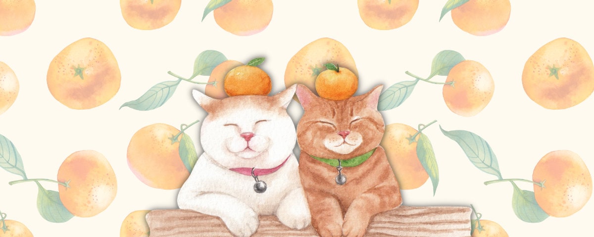 Cute Cat Twitch Profile Banner, Funny Cat Twitch Overlay, Livestream ...