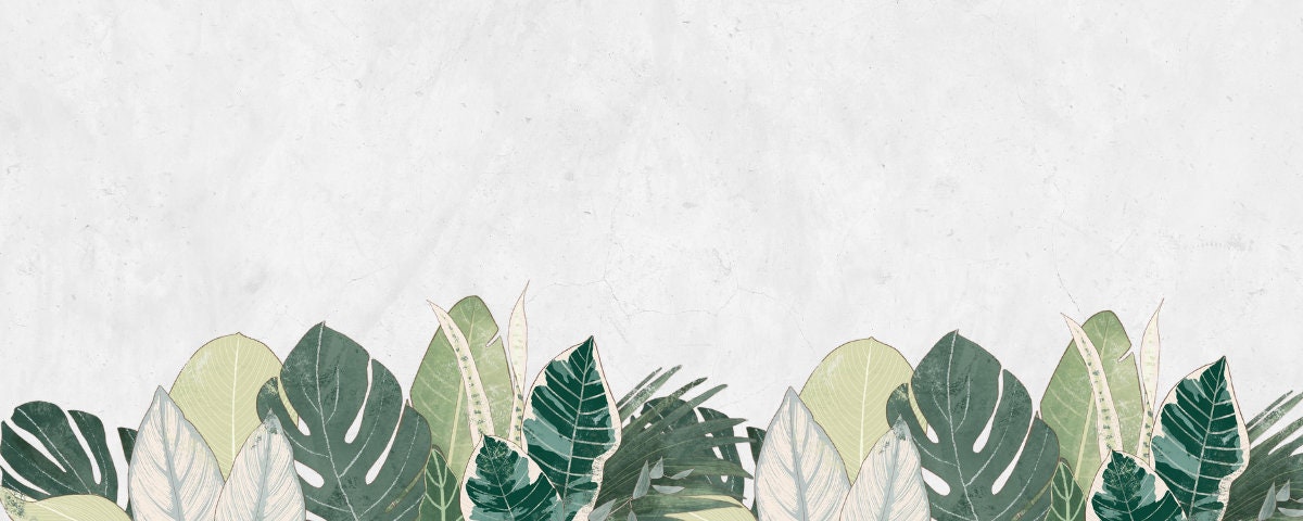 Twitch Profile Banner Botanical Nature Theme, Monstera Plant Twitch ...