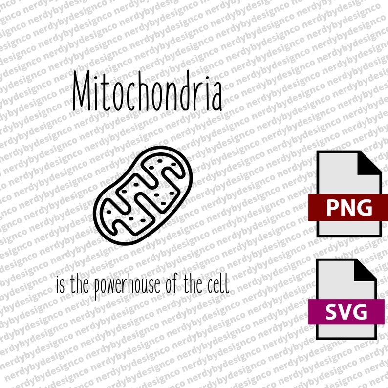 Biology Classroom Digital Print Mitochondria Printable - Etsy