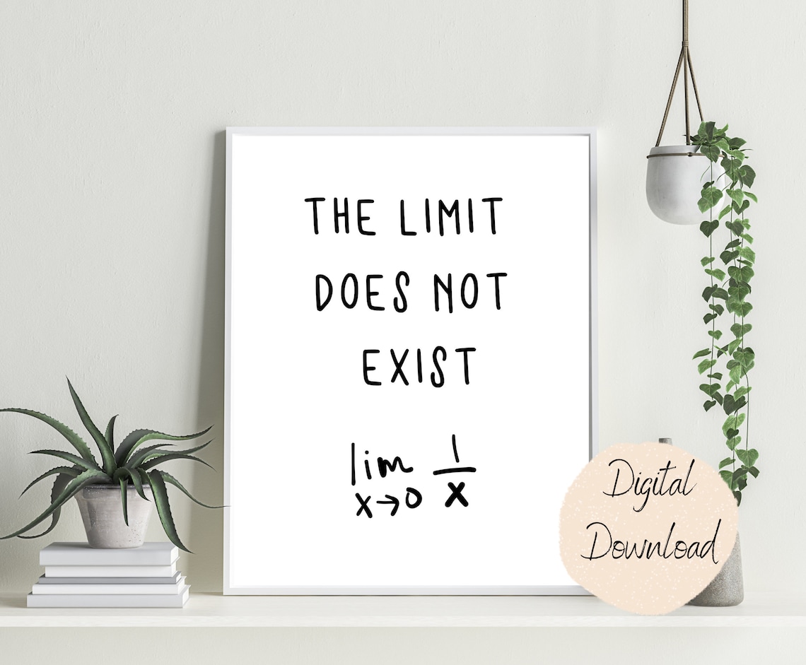 The Limit Does Not Exist Math Poster Math Classroom math Teacher ...