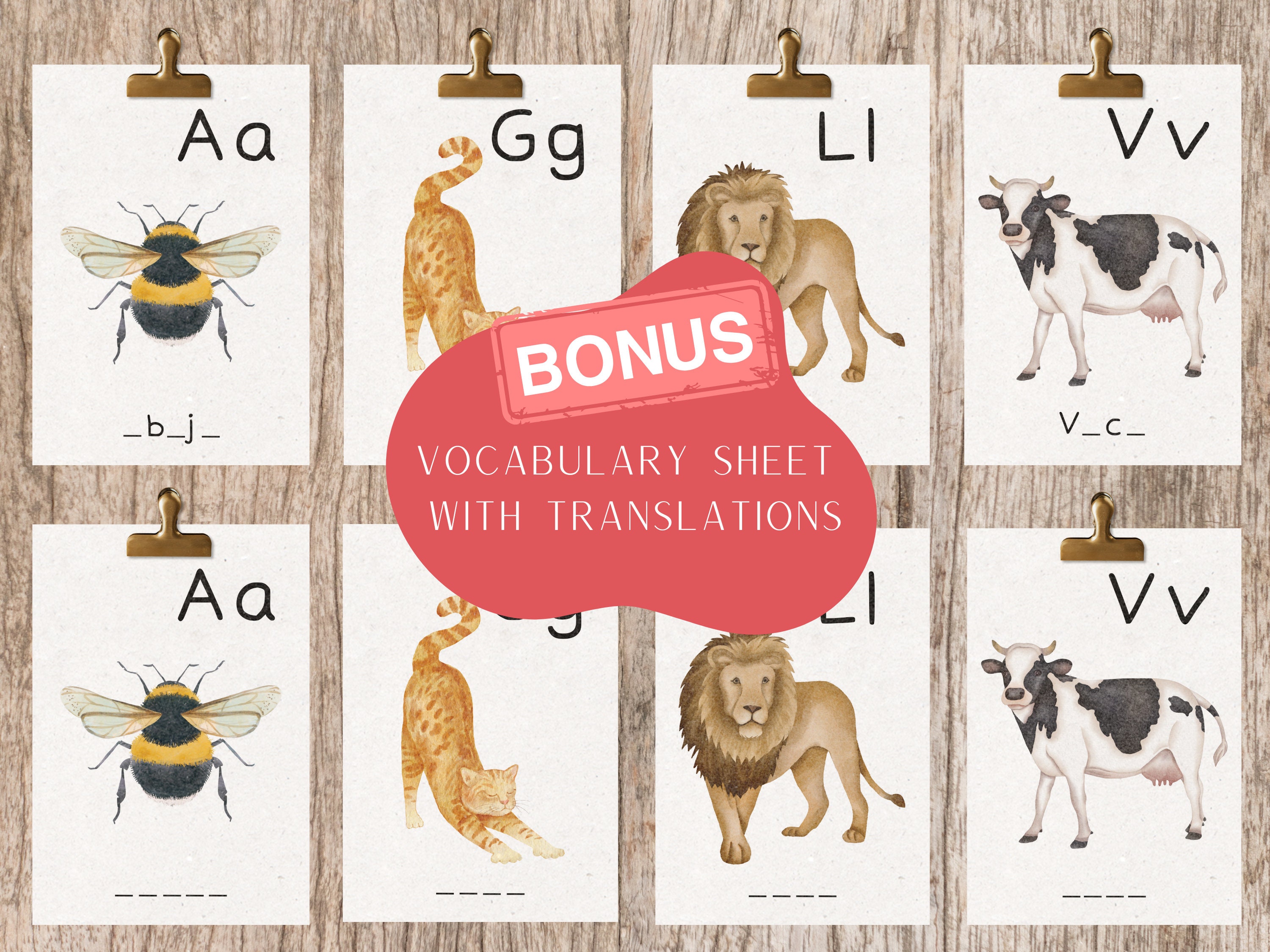 Spanish Animal Alphabet Flashcards for Kids Bilingual - Etsy