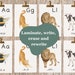 Spanish Animal Alphabet Flashcards for Kids - Bilingual Learning PDF ...