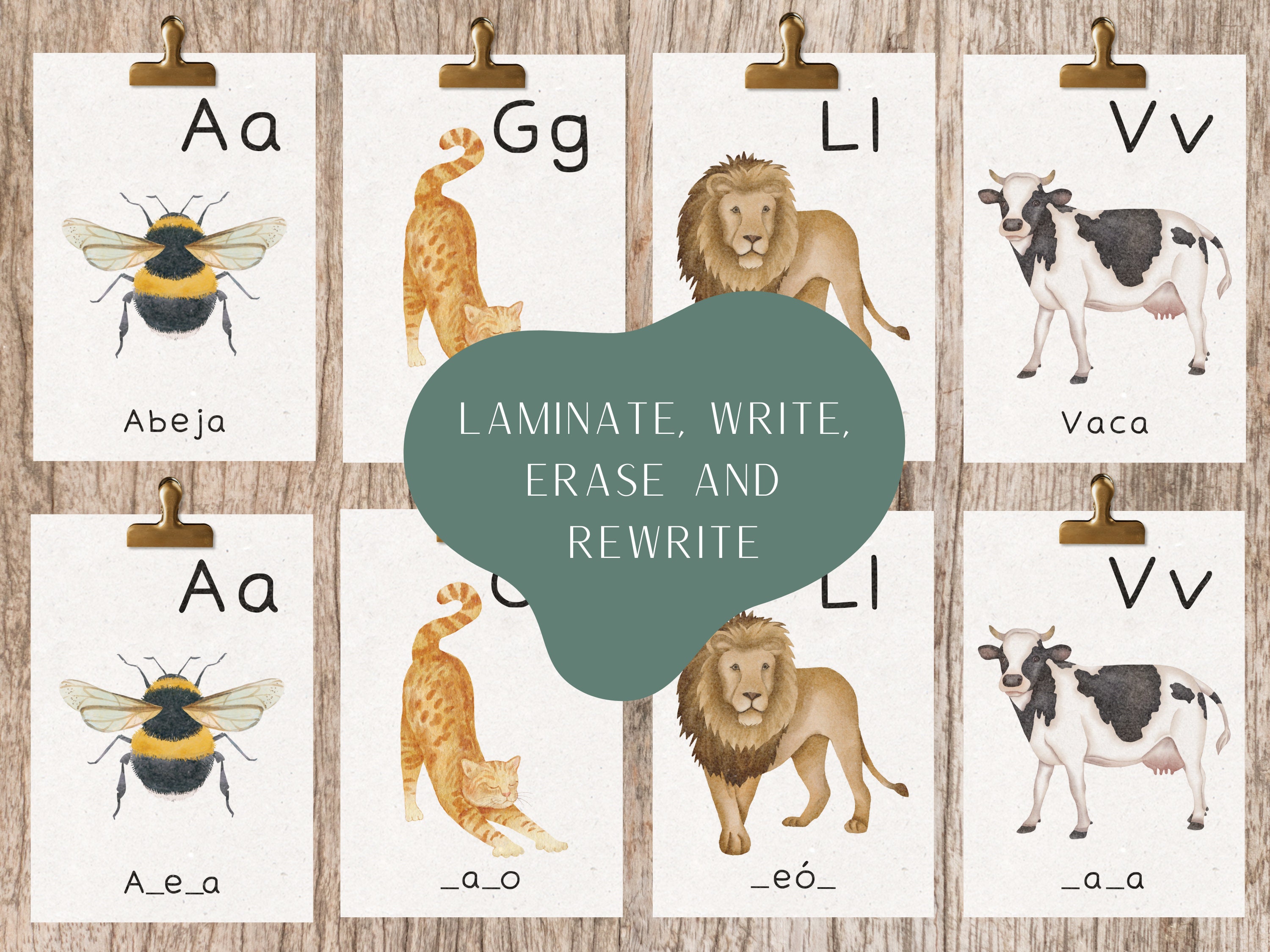 Spanish Animal Alphabet Flashcards for Kids Bilingual - Etsy
