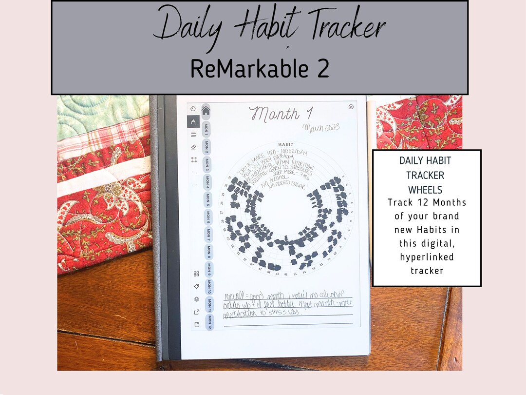 Daily Habit Tracker Wheel for Remarkable 2 - Etsy