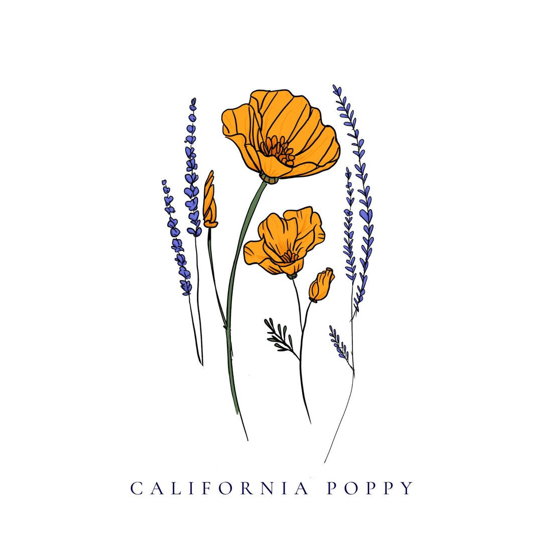 California Poppy Wall Art, Digital Wall Art, Digital Download, Floral ...