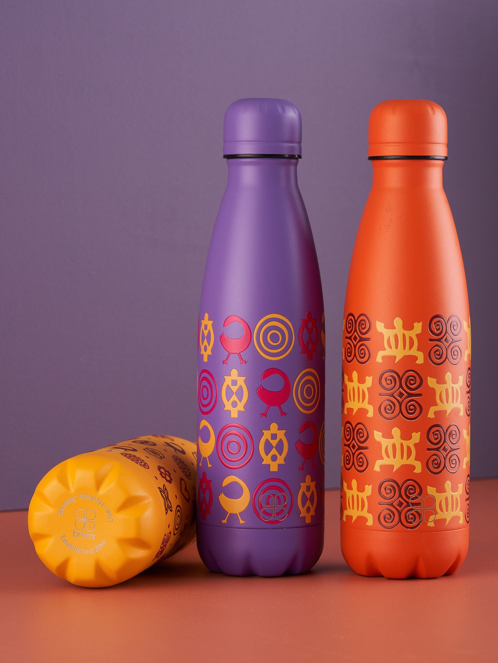 Double Insulated, Adinkra, African Design, Gift, Water Bottles, 500ml ...